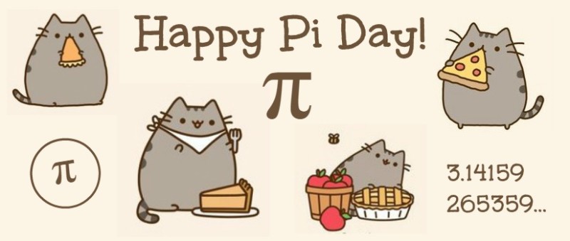7 Pets Who Love Pi Day! | Emerald Animal Hospital