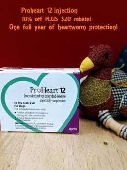 Proheart 12 Injection Deal! | Emerald Animal Hospital