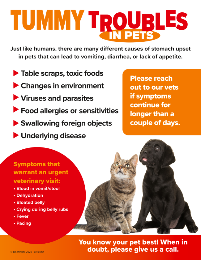 Aw Poop: March is Intestinal Parasite Awareness Month💩🐾 | Emerald ...