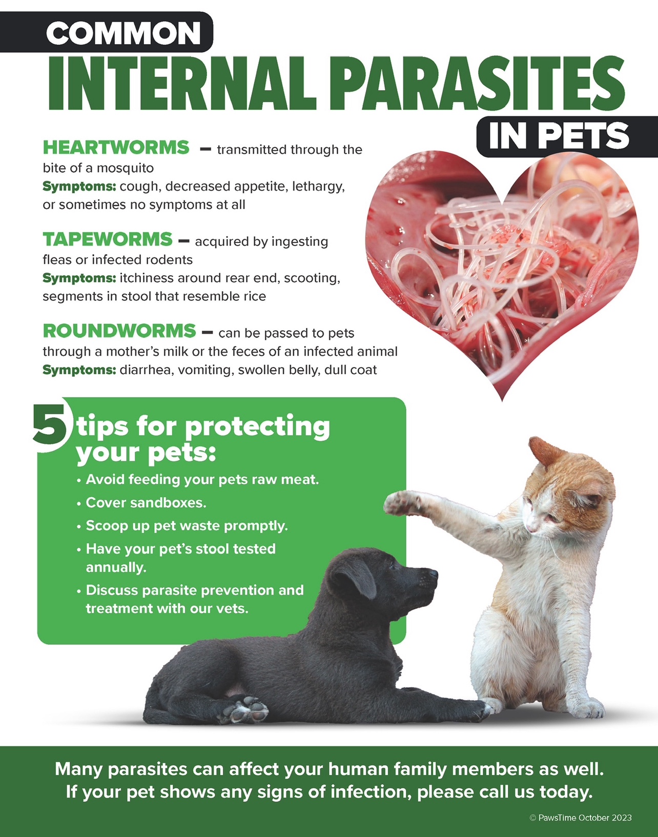 Aw Poop: March is Intestinal Parasite Awareness Month💩🐾 | Emerald ...